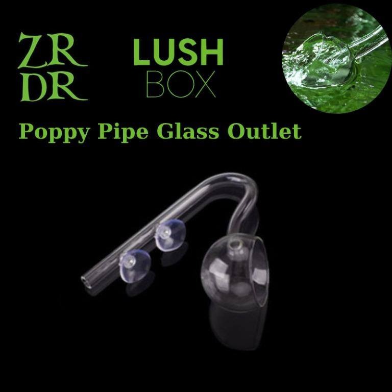 Aquarium ADA style Glass Poppy Pipe Outflow, Pet Supplies, For Fish ...