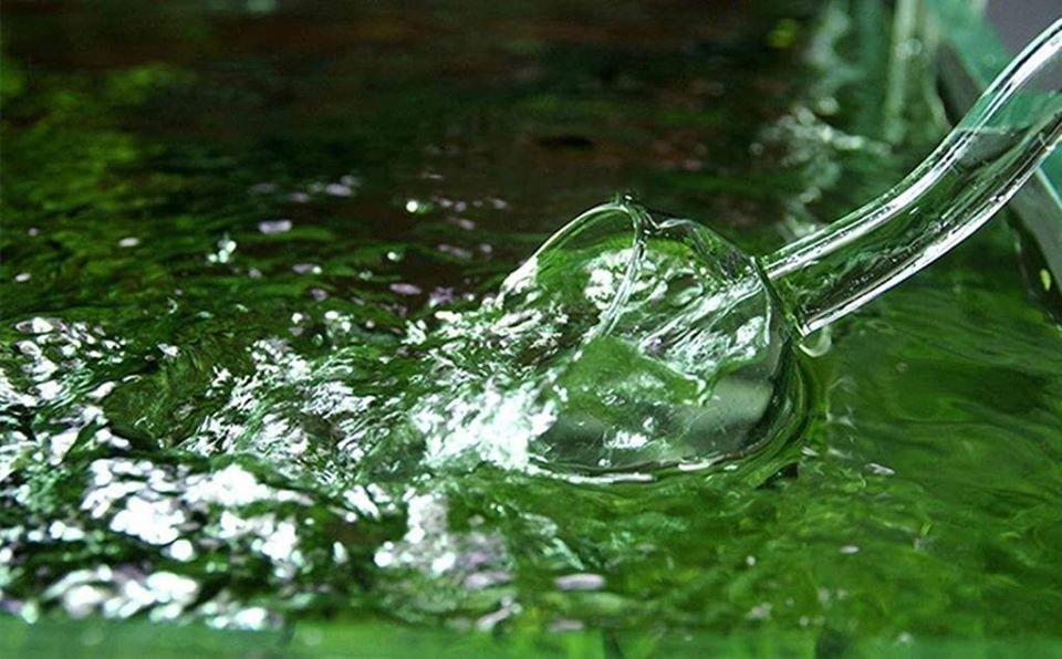 Aquarium ADA style Glass Poppy Pipe Outflow, Pet Supplies, For Fish ...