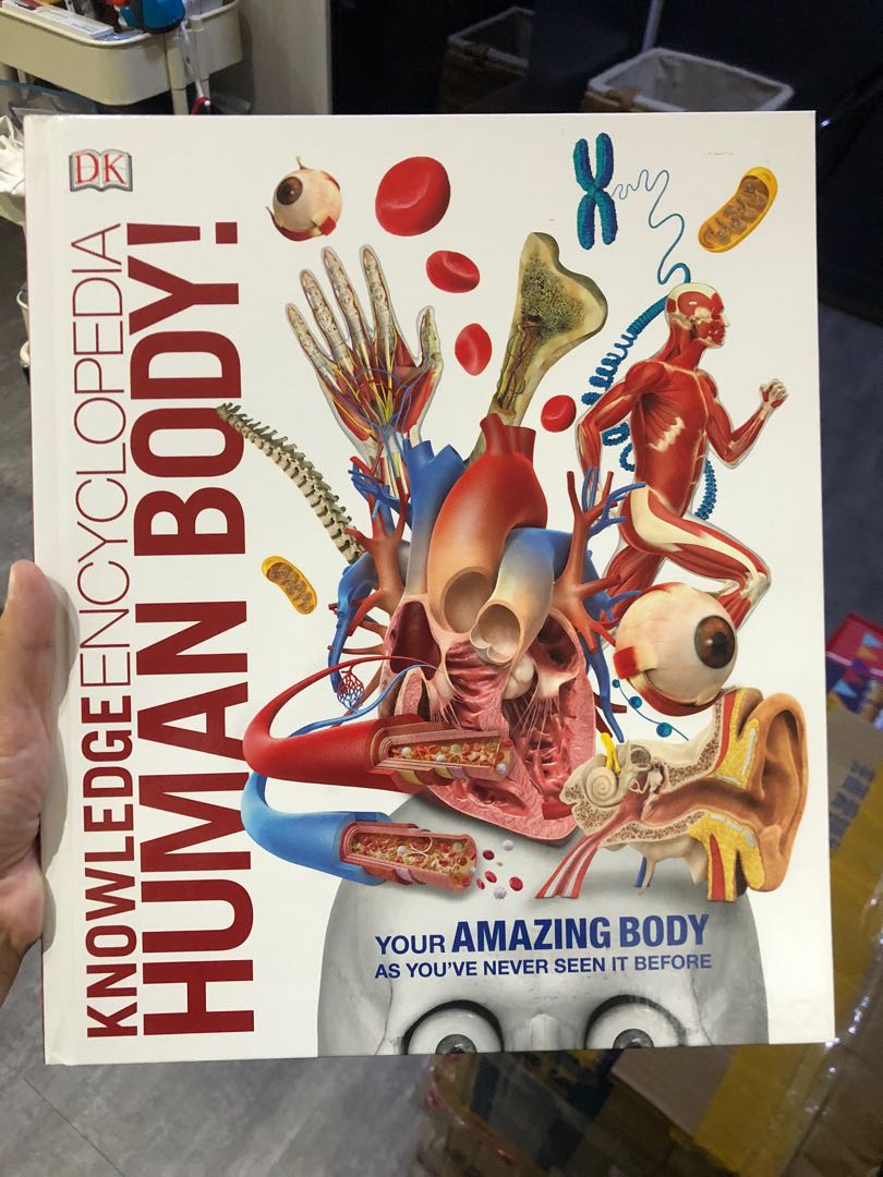 DK Knowledge Encyclopedia HUMAN BODY, Hobbies & Toys, Books & Magazines, Assessment Books on ...