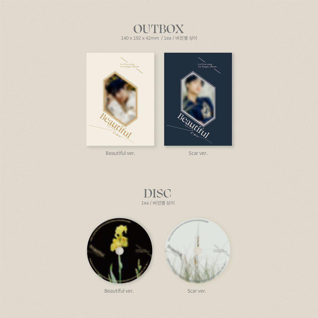 [MMT PO] LEE EUNSANG BEAUTIFUL SCAR ALBUM, Hobbies & Toys, Memorabilia ...