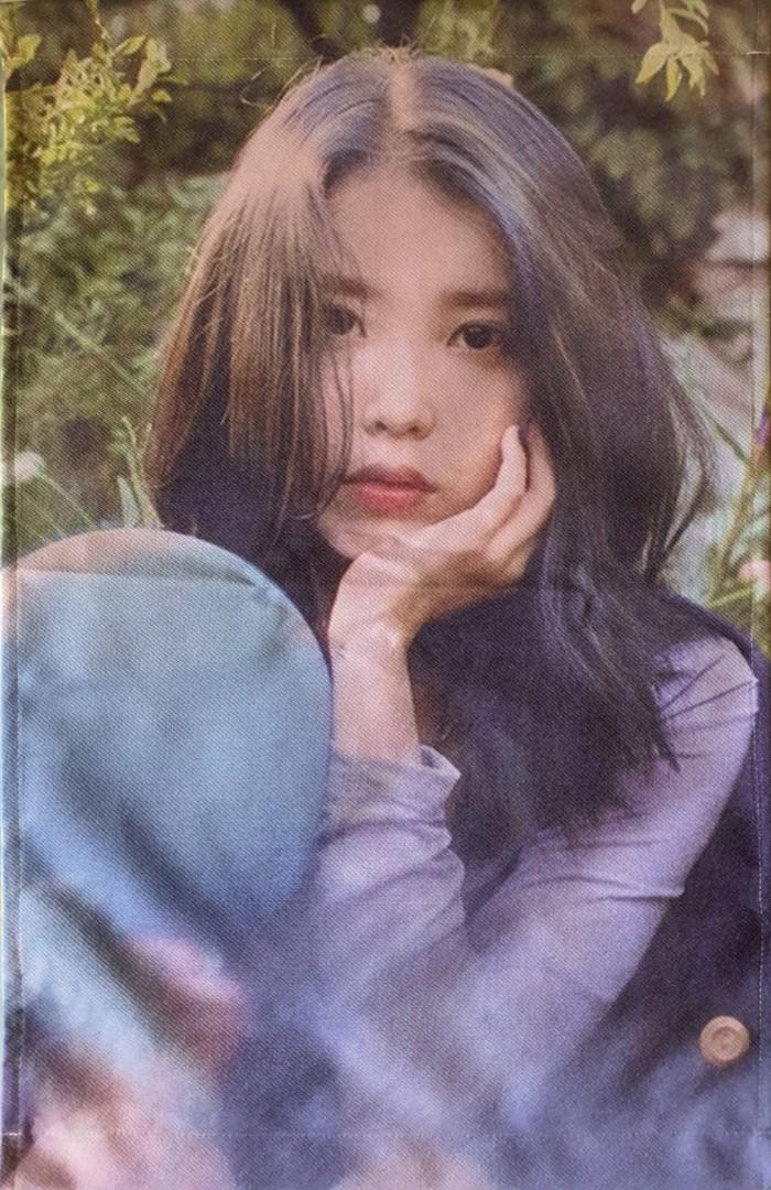 IU Love poem fabric poster, Hobbies & Toys, Memorabilia & Collectibles ...