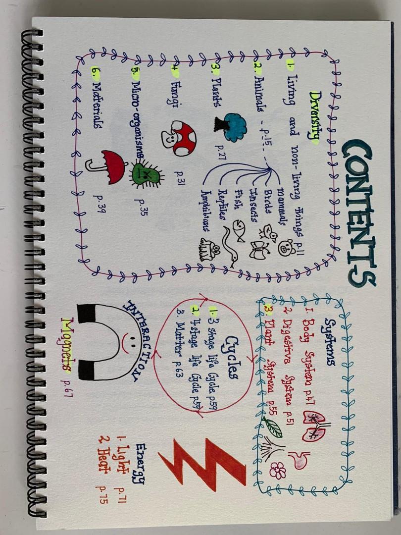 Science concept mind map, Books & Stationery, Textbooks, Primary on ...