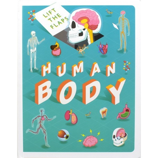 Lift the flaps Human body, Hobbies & Toys, Books & Magazines, Children ...