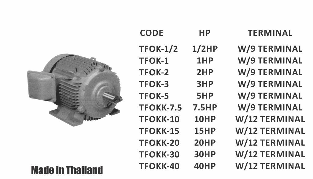 Hitachi Induction Motor Dual Voltage, Commercial & Industrial ...