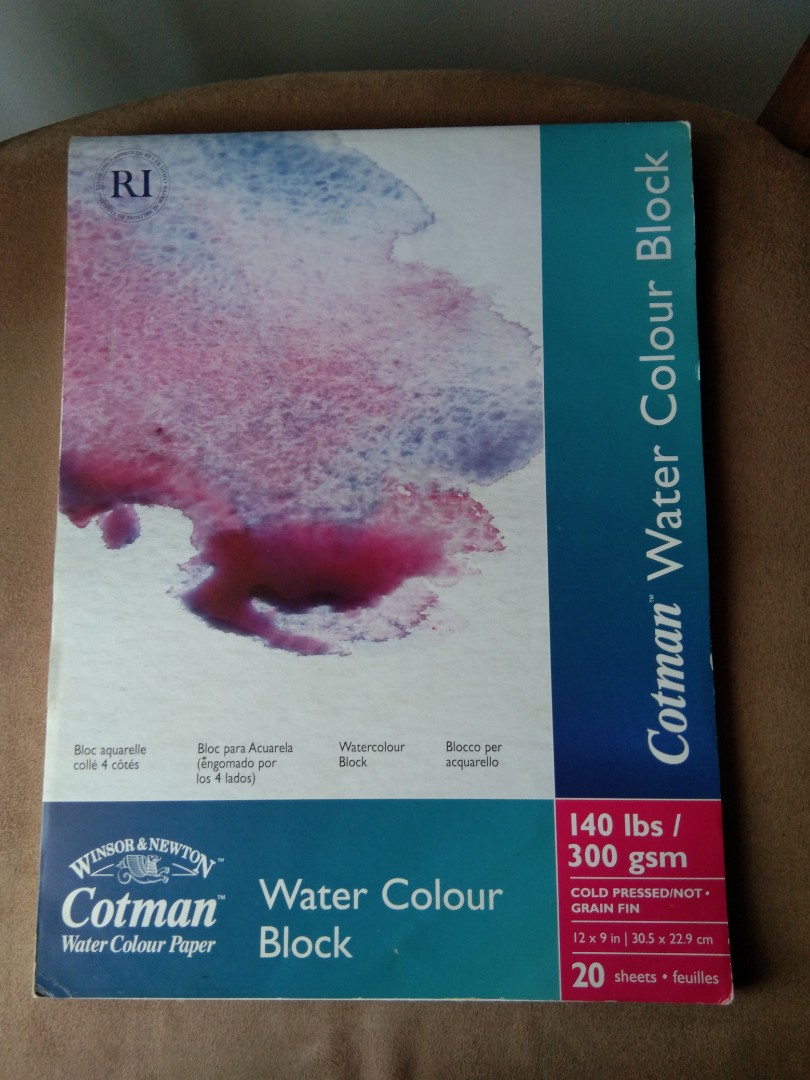 Winsor & Newton Cotman Watercolor block, Hobbies & Toys, Stationary ...