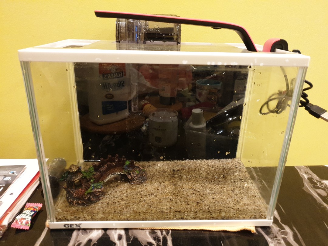 1ft Gex tank set, Pet Supplies, For Fish, Fish Tanks on Carousell