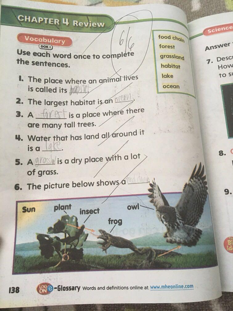 Grade 1 - Science A Closer Look, Hobbies & Toys, Books & Magazines ...