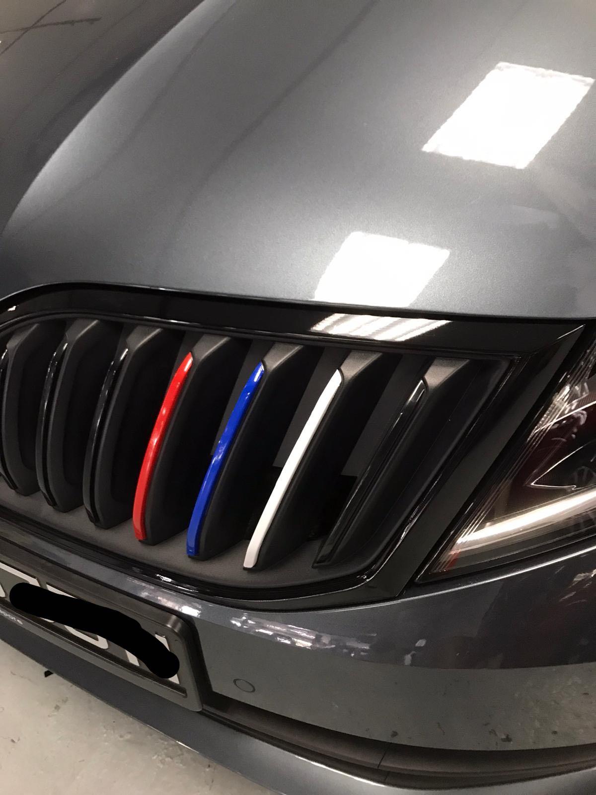 Skoda front grill sticker wrap, Car Accessories, Accessories on Carousell
