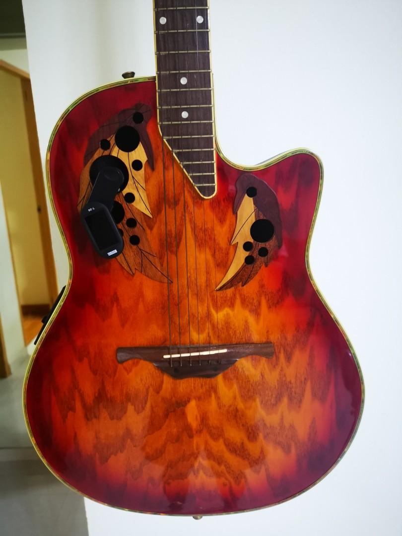 guitar turtle back acoustic, Hobbies & Toys, Music & Media, Musical ...