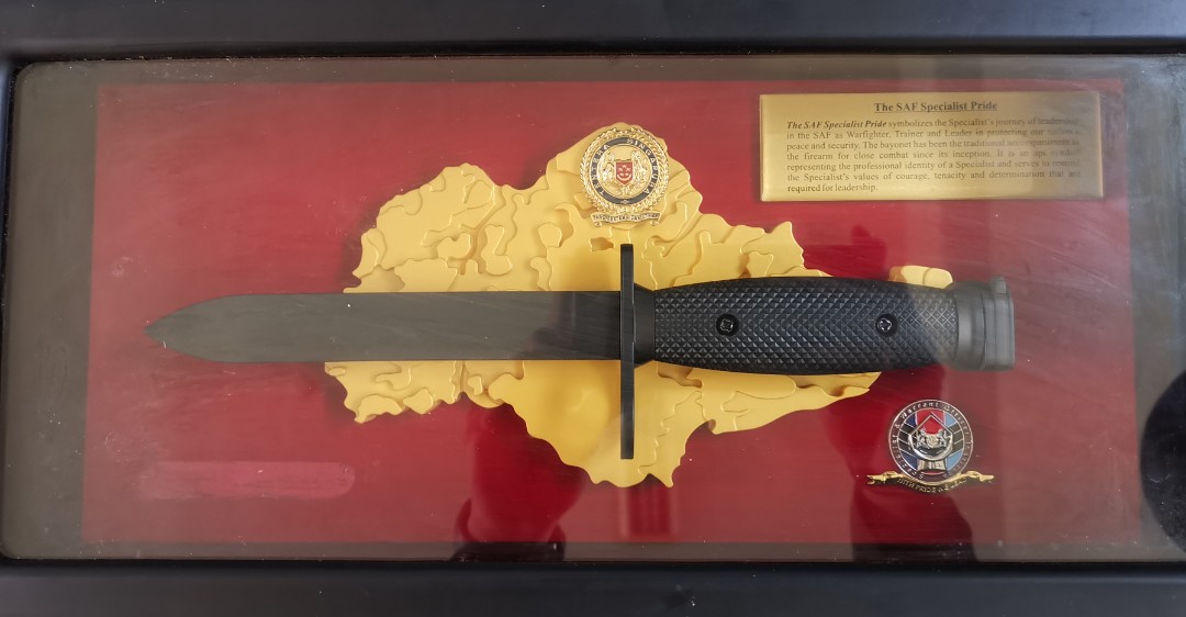 Specialist Pride Bayonet, Babies & Kids, Baby Nursery & Kids Furniture ...