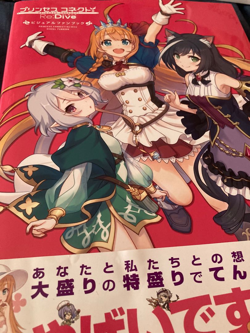 Princess connect visual fan book, Hobbies & Toys, Memorabilia ...