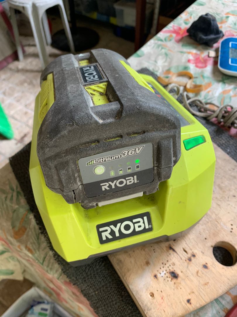 Ryobi RCS 36 cordless 36V chainsaw, Gardening, Gardening Tools ...
