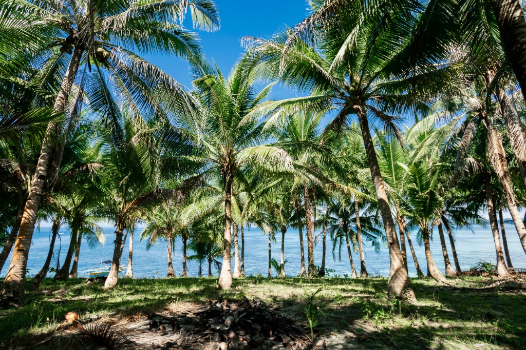 Siargao's Daku Beachfront Land & TITLED Beachfront Lot in Giwan (Guiwan ...