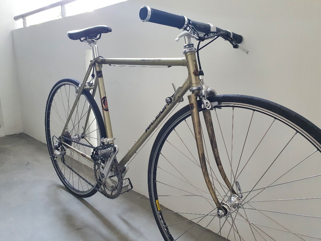 Vintage 531 Steel Raleigh, Sports Equipment, Bicycles & Parts, Bicycles ...