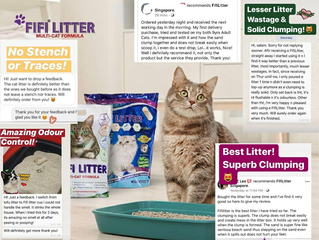 Fifi Litter silica, Pet Supplies, Homes & Other Pet Accessories on ...