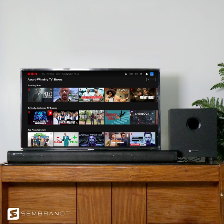 Sembrandt HT3000 with External Subwoofer, Audio, Soundbars, Speakers ...