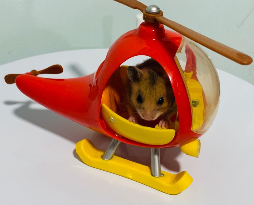 Hamsters toy helicopter, Pet Supplies, Homes & Other Pet Accessories on ...