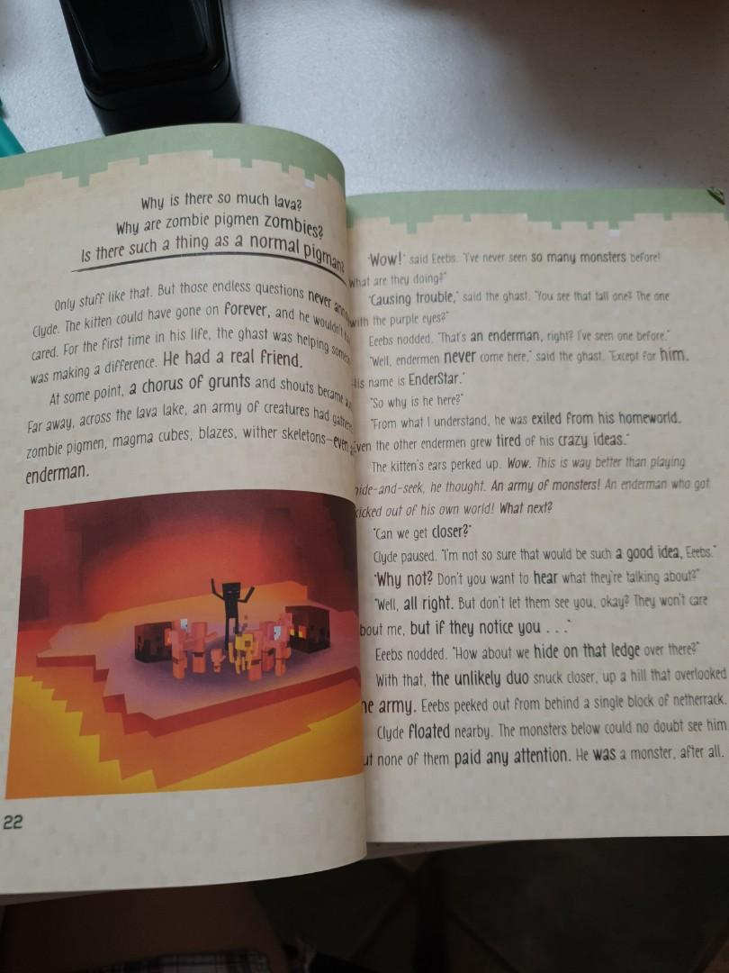 Minecraft Tales of An 8 Bit Kitten, Hobbies & Toys, Books & Magazines ...