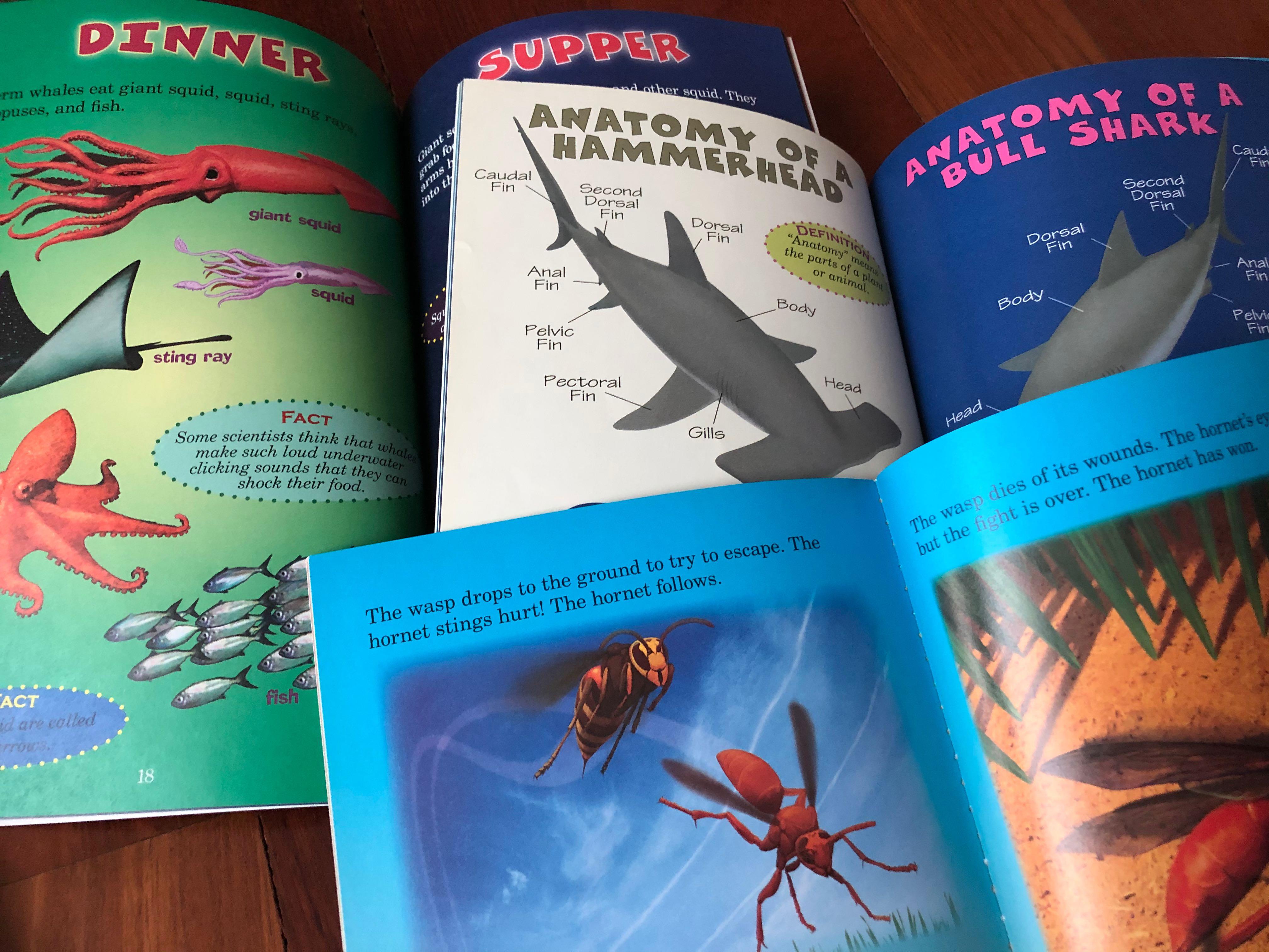 Who Would Win: Hornet vs Wasp, Hammerhead vs Bull Shark, Whale vs Giant ...