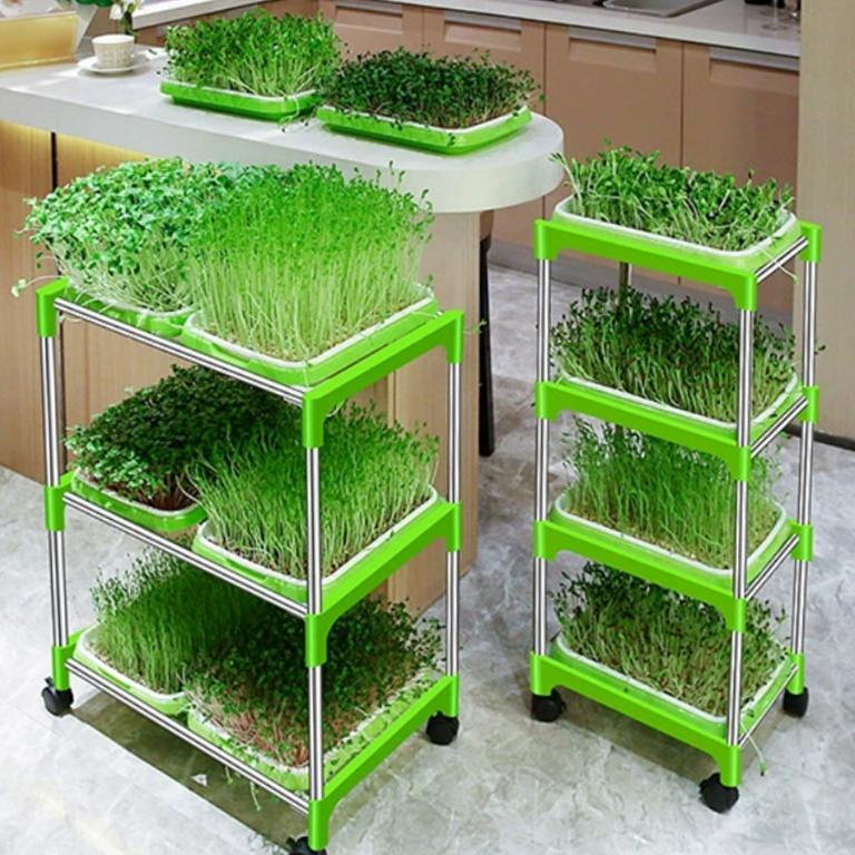 4-Tier Sprouter Tray Rack | Sprout Seedling Tray Shelving Display Stand ...