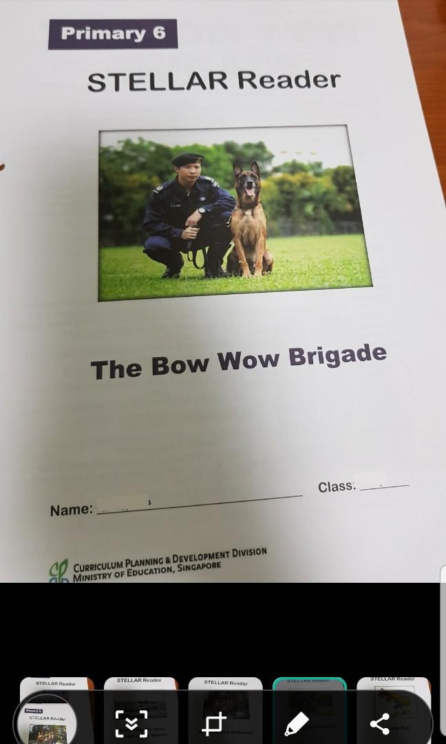 P5 P6 stellar reader english school textbook, Hobbies & Toys, Books ...