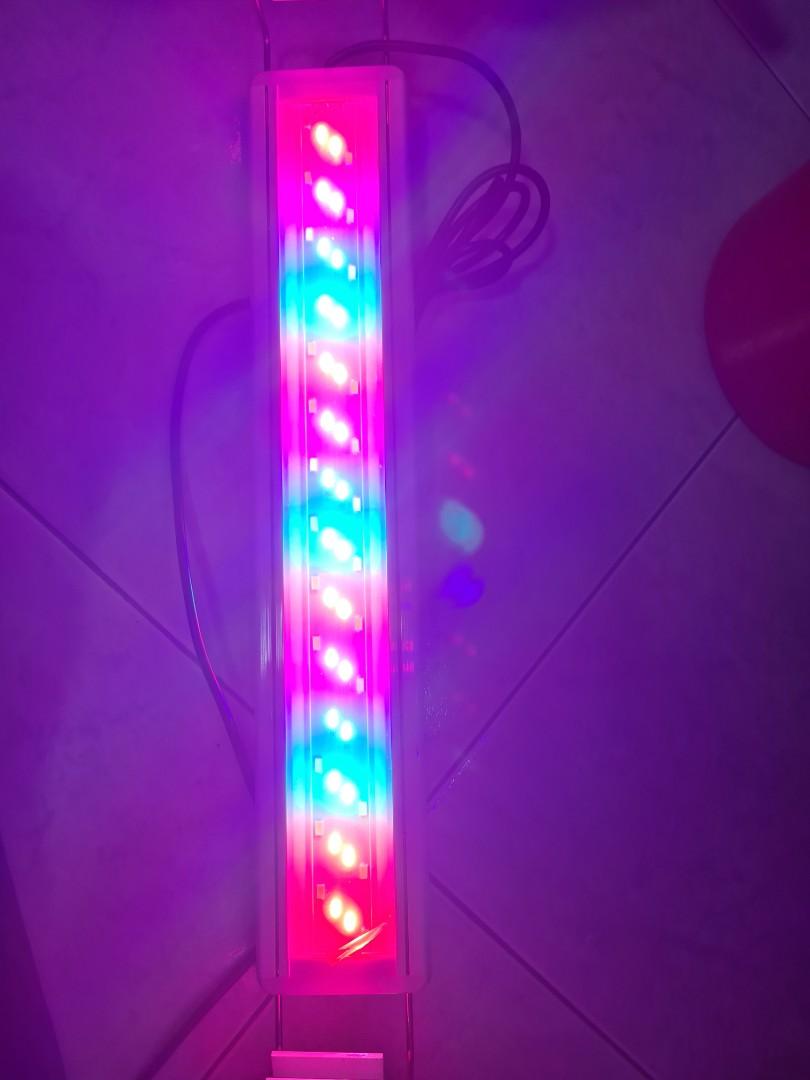 Roxin GX-A400 aquarium light, Pet Supplies, Homes & Other Pet ...