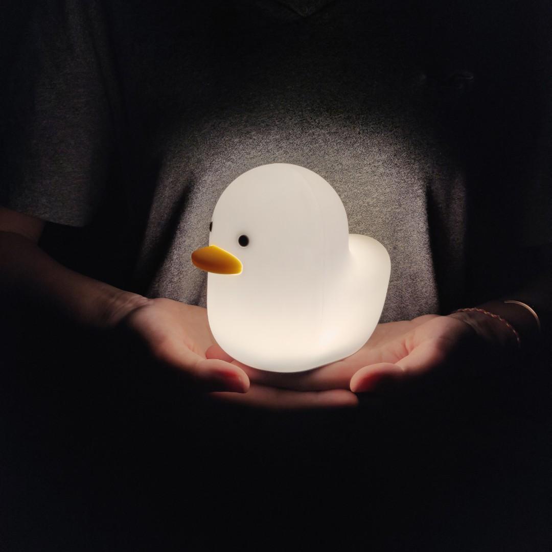 鴨仔小夜燈 Dull duck sleeping lamp, 傢俬＆家居, 家居裝飾, 咕𠱸 - Carousell