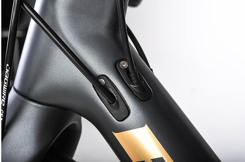 Pardus ROBIN SPORT R7000 SHIMANO 22 Speed Carbon Fibre Frame Road Bike ...