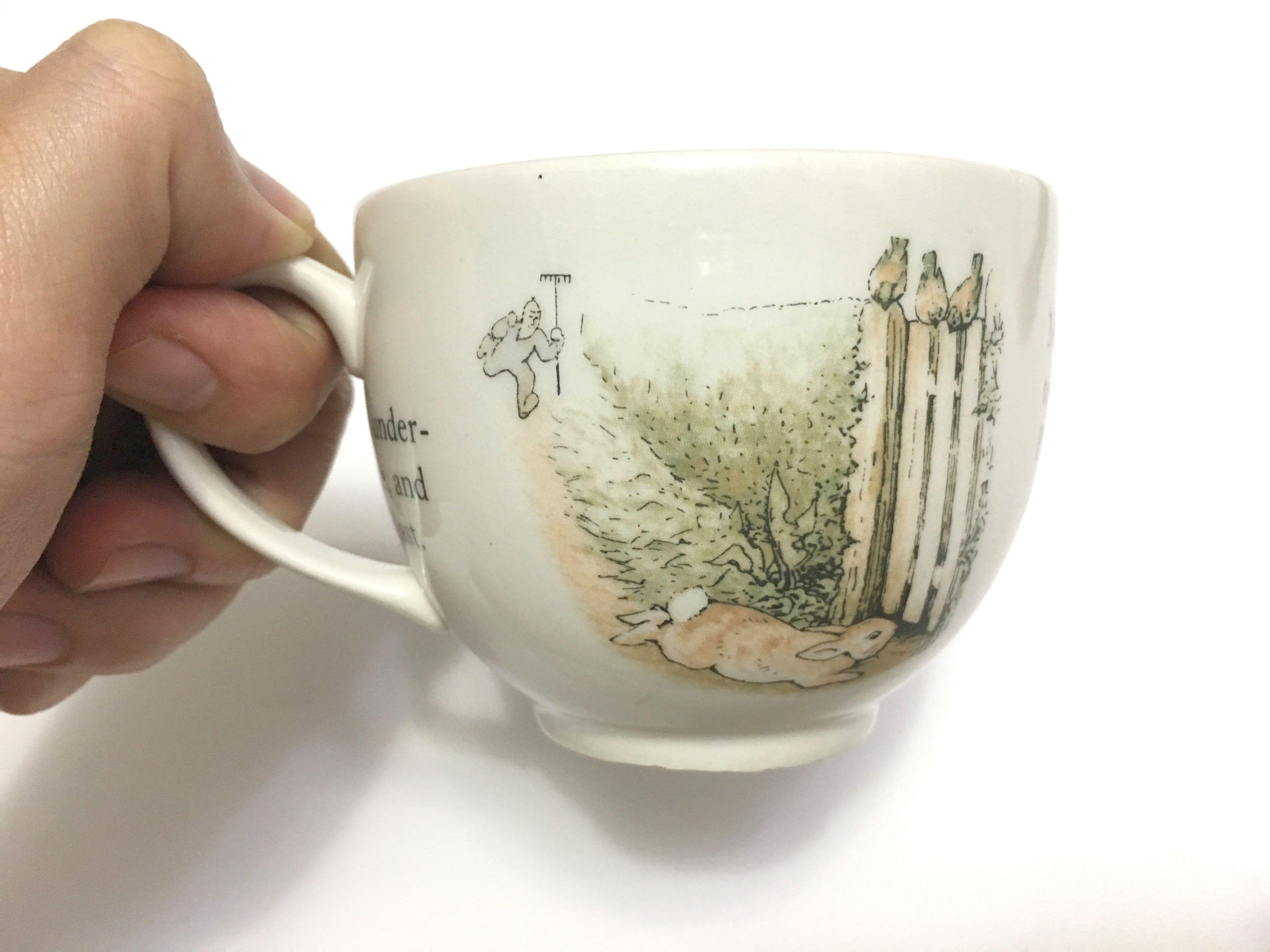 Peter Rabbit by Wedgwood Tea Cup & Saucer, Furniture & Home Living ...