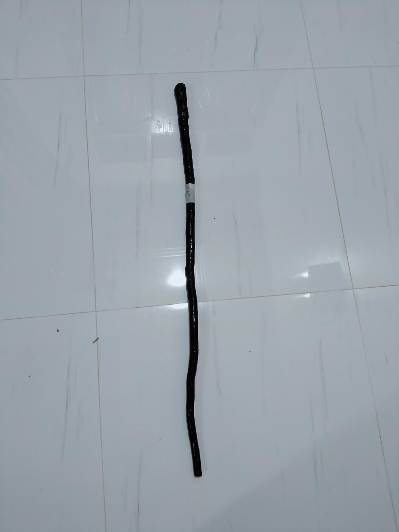 Tongkat Cintamani Laut Rare, Everything Else, Others on Carousell