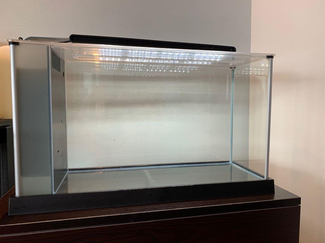 Fluval Spec V 19 liter, Pet Supplies, Homes & Other Pet Accessories on ...