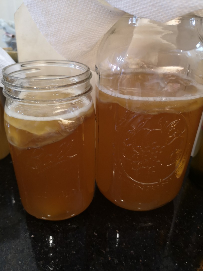 Scoby with starter tea $6, Furniture & Home Living, Kitchenware ...