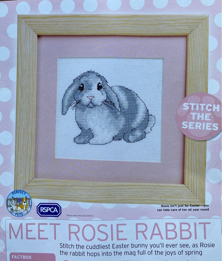 2 Charts- Meet Rosie Rabbit Cross Stitch Chart, Hobbies & Toys ...