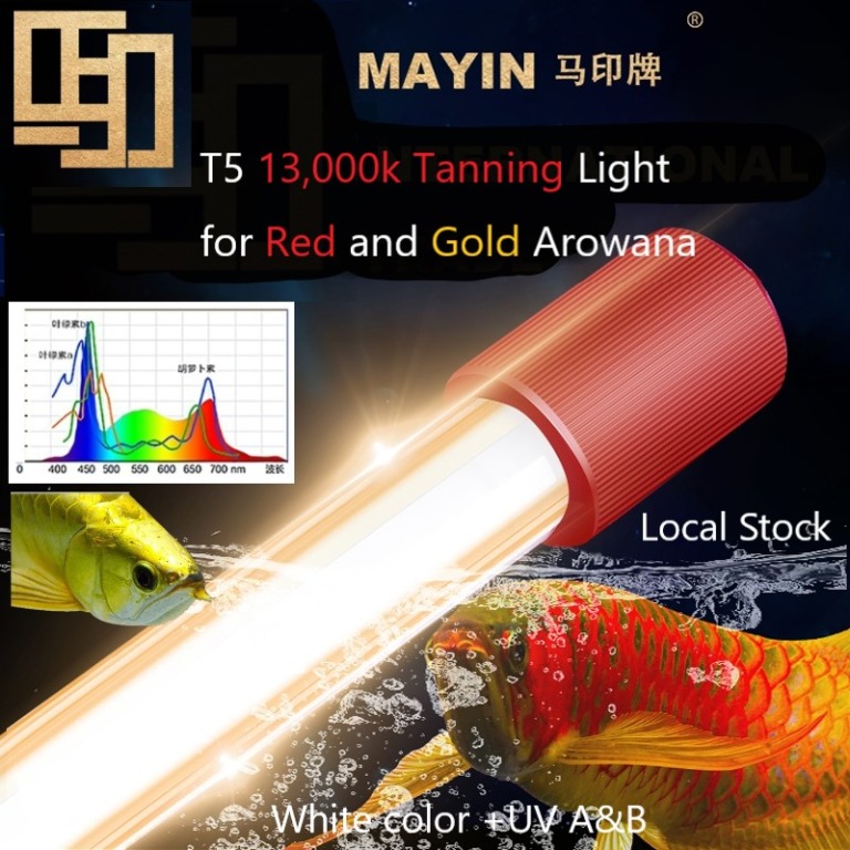 Mayin authorized SG seller-Mayin T5 13,000k Tanning light 3ft 4ft 5ft ...