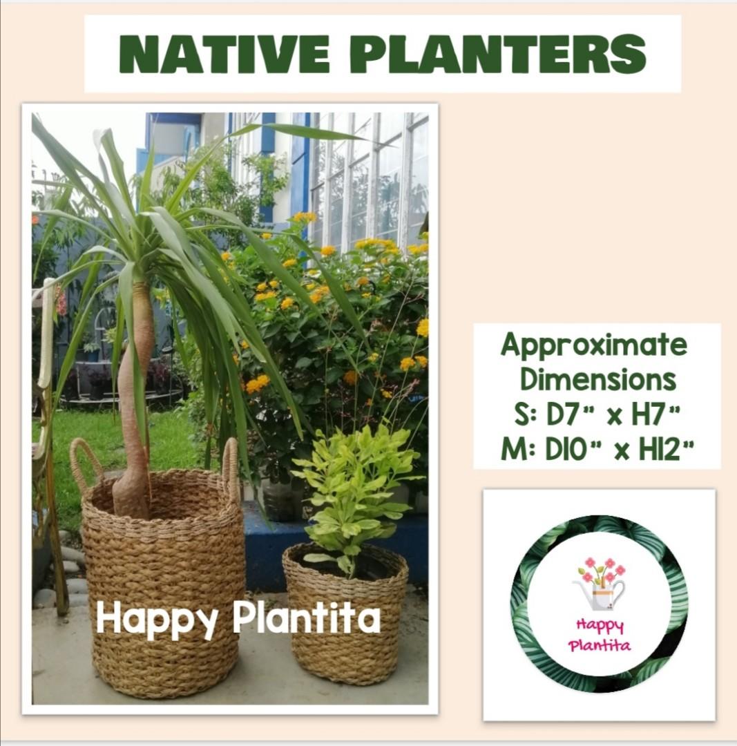 Native Planters Set, Furniture & Home Living, Gardening, Gardening ...