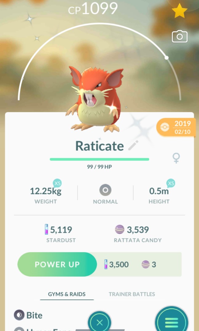 Shiny Raticate Pokemon Go, Video Gaming, Gaming Accessories, Game Gift ...