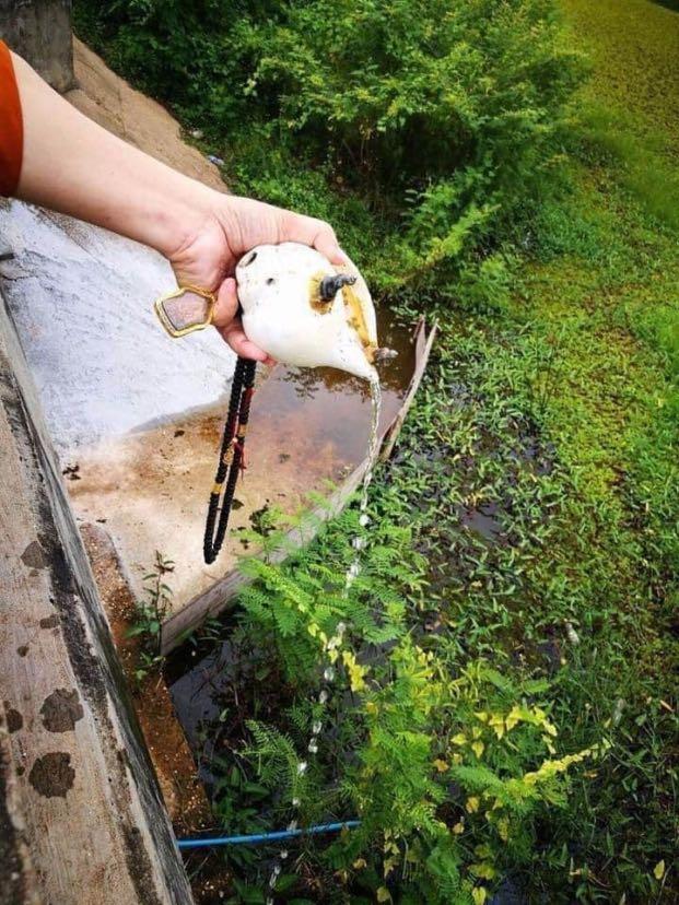 Yakru Jun Chao Pu Srisutho (the miracle floating coin), Hobbies & Toys ...