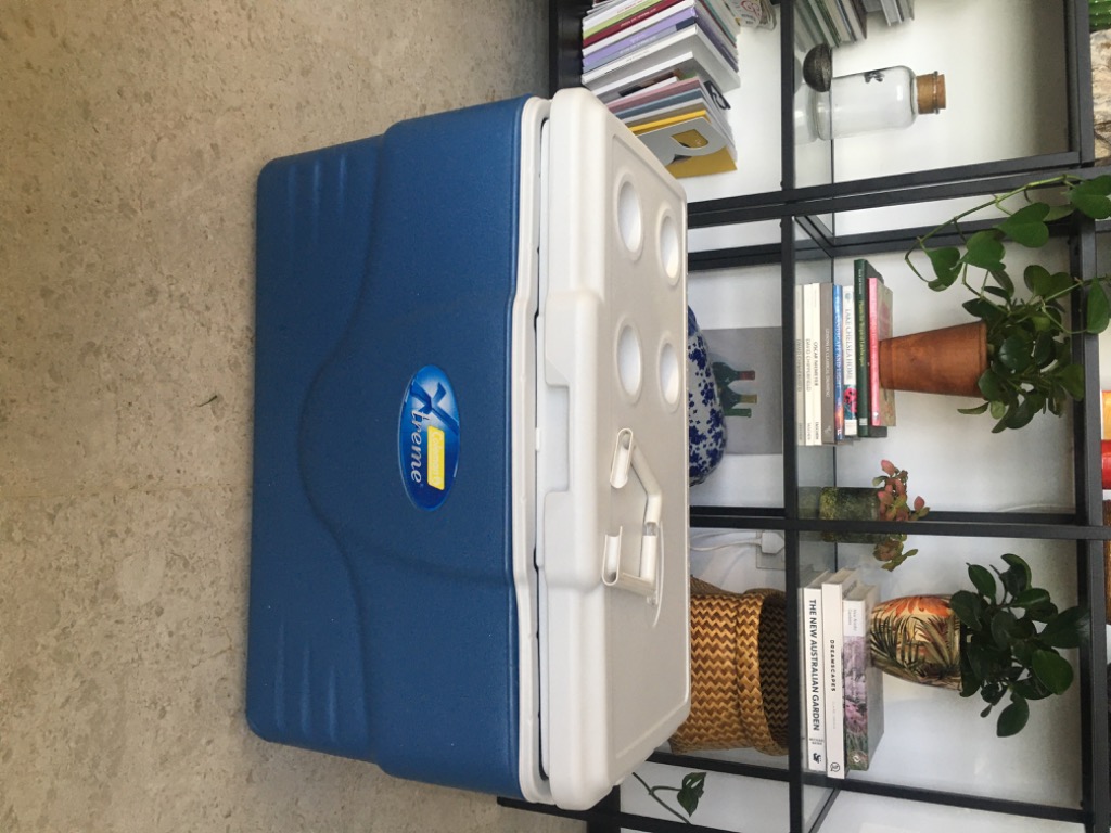 Coleman Ice Cool Box, Everything Else on Carousell
