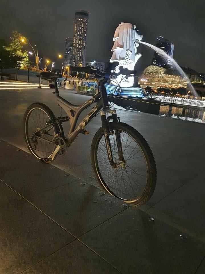 Diamondback coil full suspension, Sports Equipment, Bicycles & Parts ...