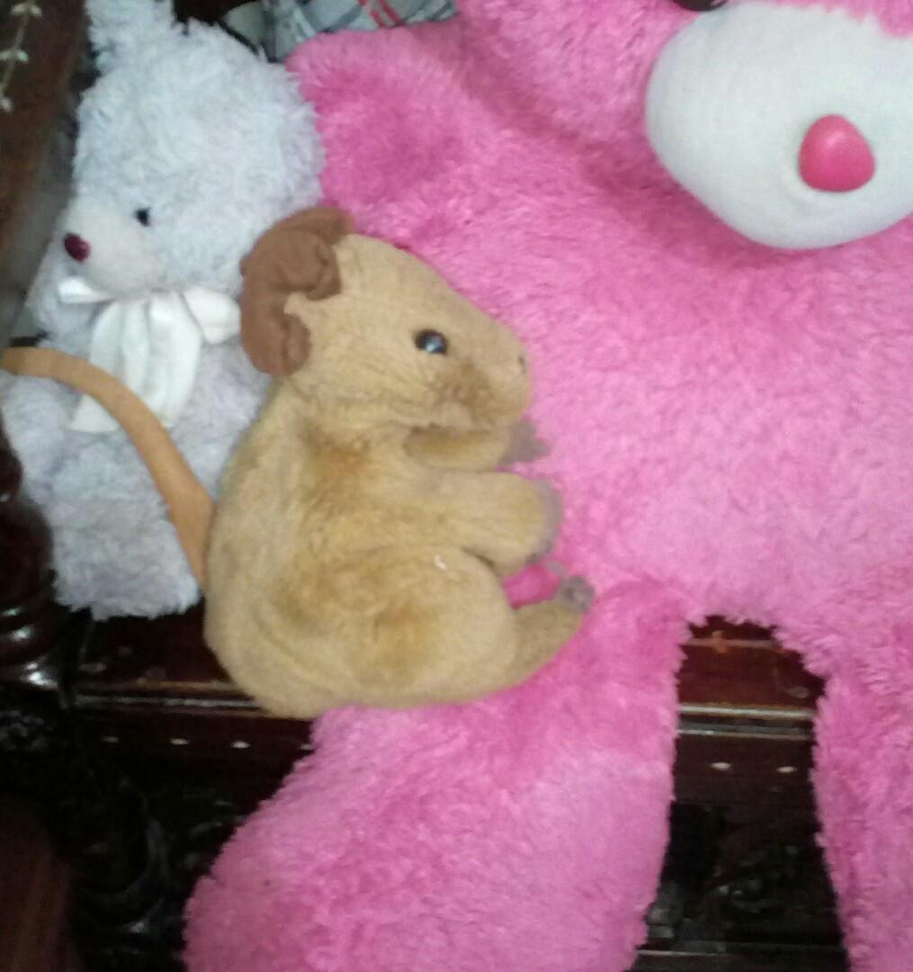 Mouse Puppet from Blue Magic, Hobbies & Toys, Toys & Games on Carousell