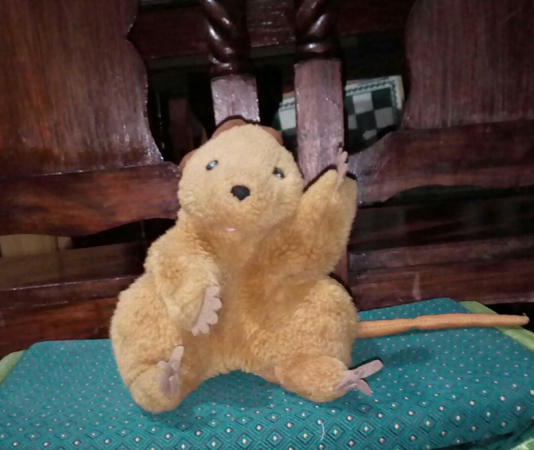 Mouse Puppet from Blue Magic, Hobbies & Toys, Toys & Games on Carousell