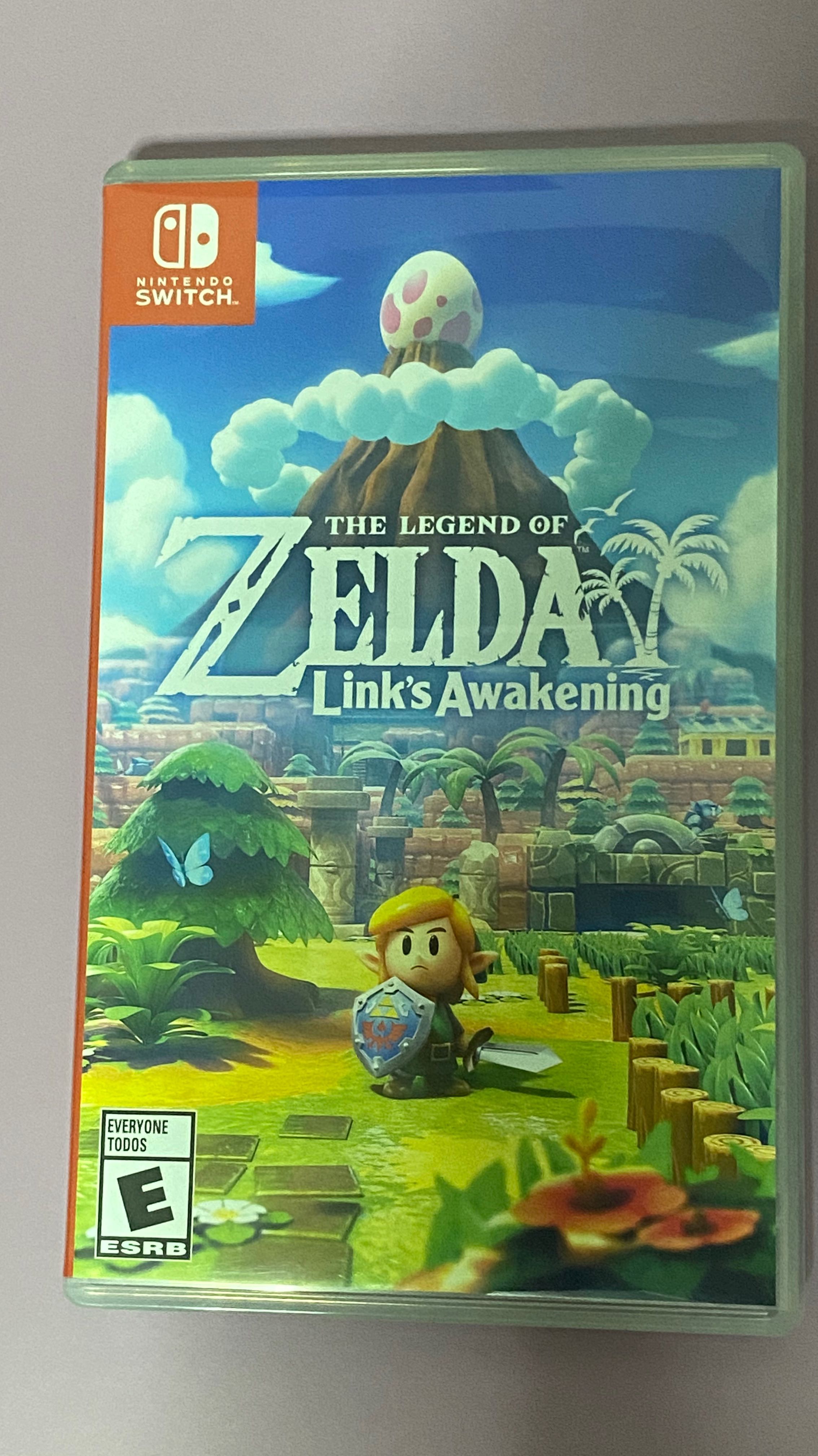 Zelda Link’s awakening. nintendo swtich game, Video Gaming, Video Games ...