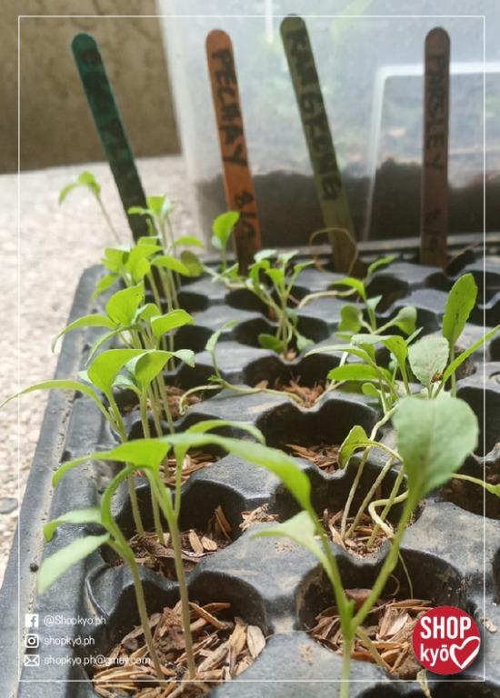 Urban Farming: Starter Kit, Furniture & Home Living, Gardening ...