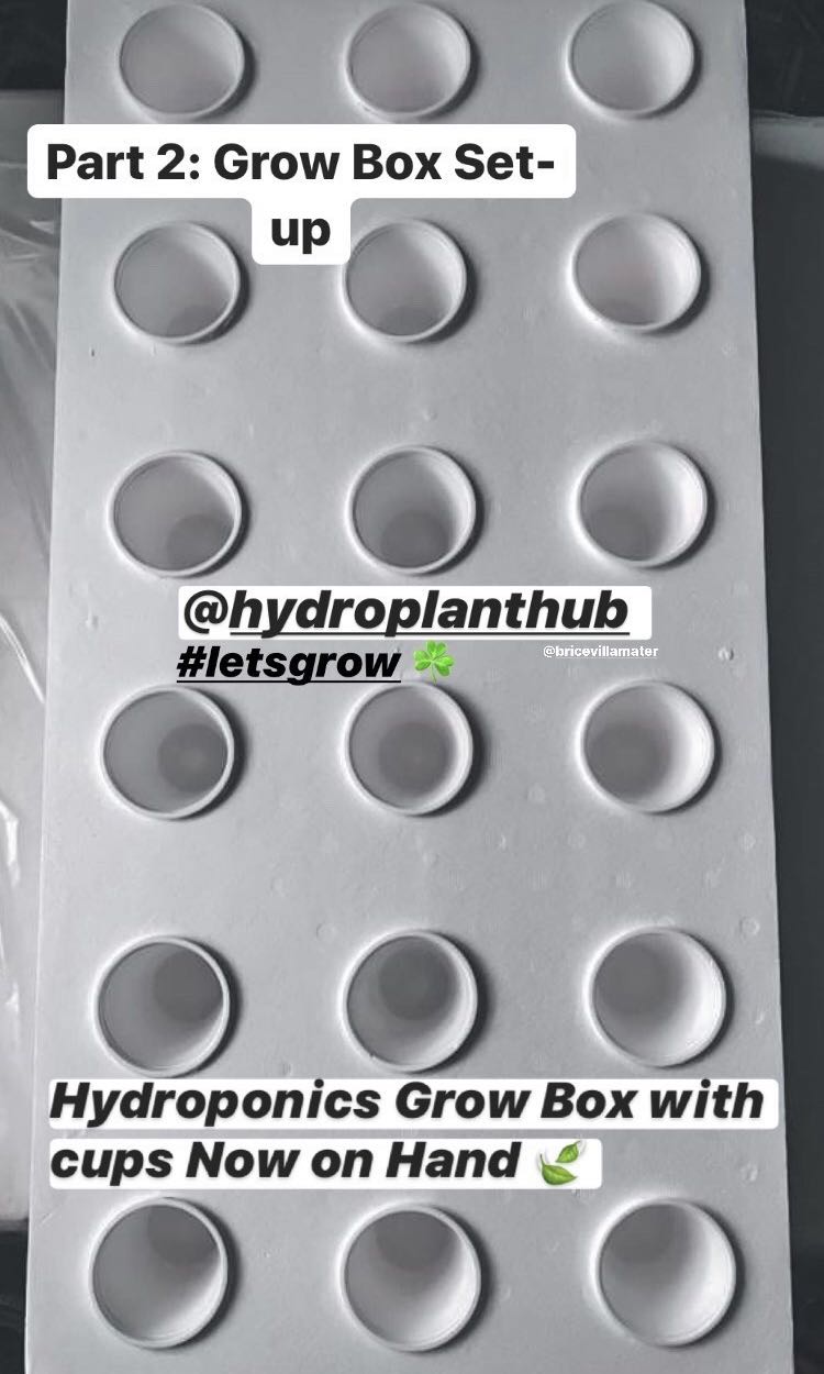 All-In! Styro Hydroponics Grow Box w/ 18 Holes & 19 Cups w/ slits ...