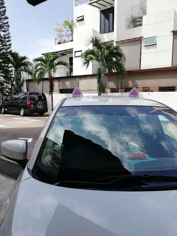 Car Magnetic Ears, Car Accessories, Accessories on Carousell