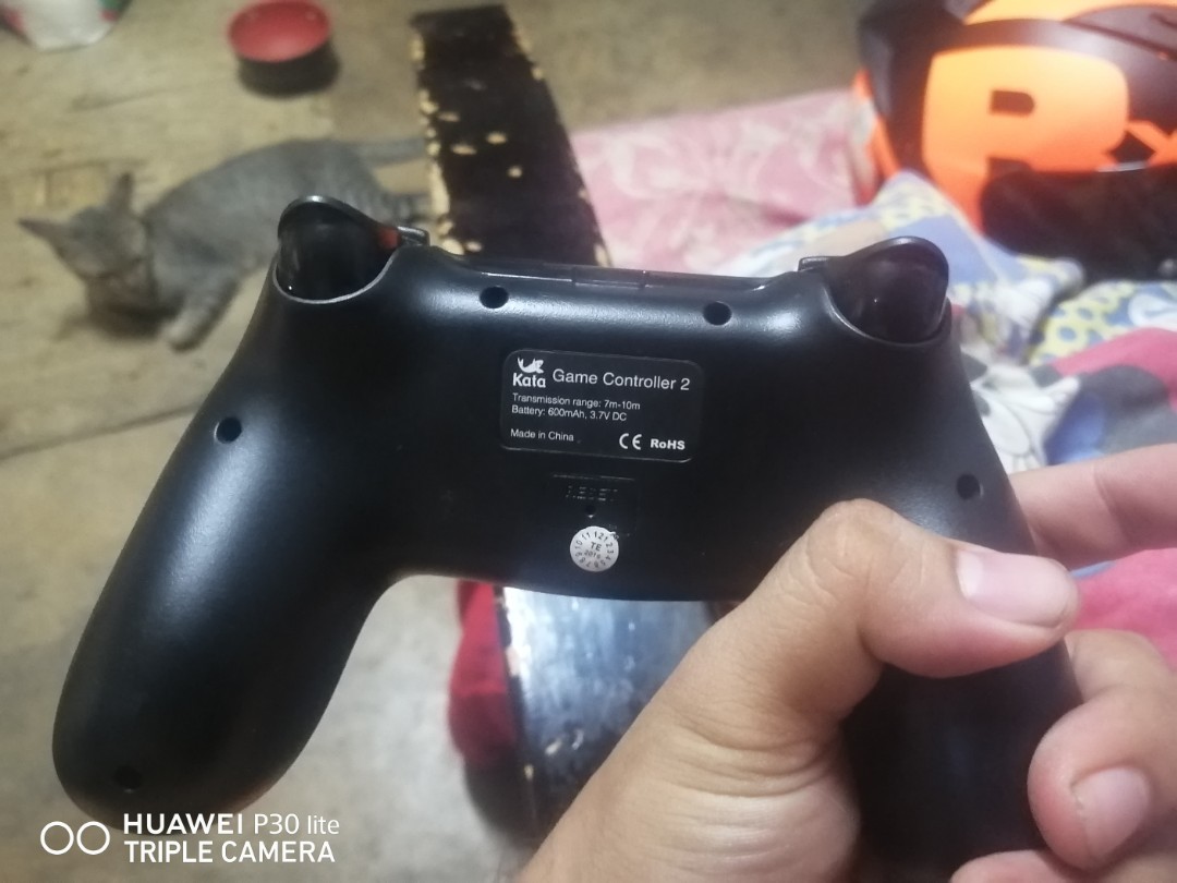 Kata Controller, Video Gaming, Gaming Accessories, Controllers on Carousell