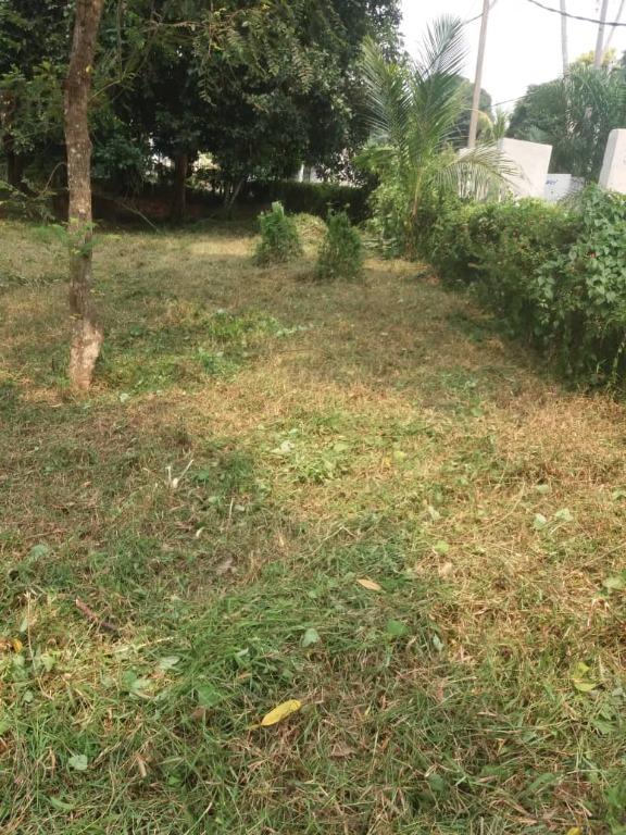 [WTS] Tanah Chinchang Labu Salak Tinggi F1 KLIA Sepang, Property, For ...