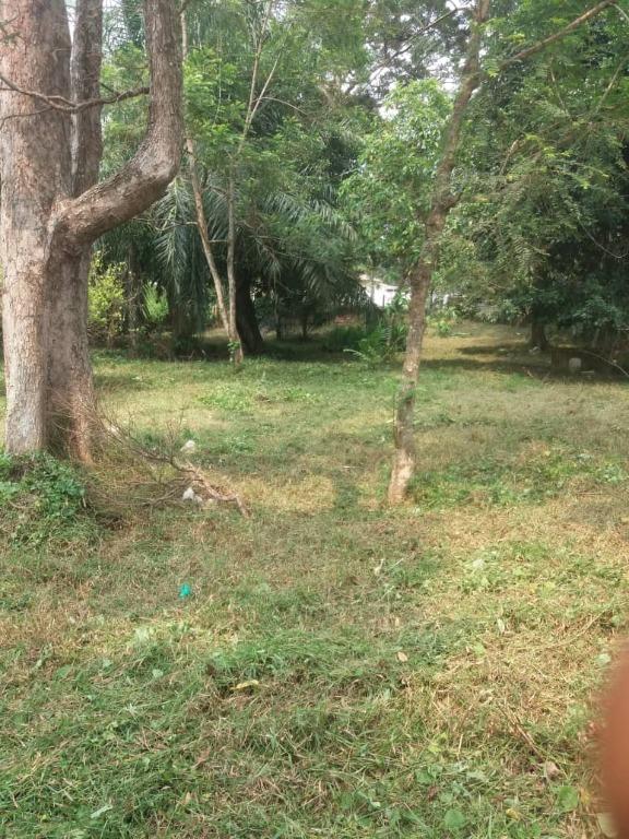 [WTS] Tanah Chinchang Labu Salak Tinggi F1 KLIA Sepang, Property, For Sale on Carousell