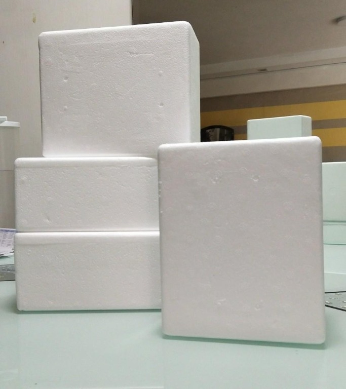 Small Styro Foam Box with Lid, Hobbies & Toys, Stationery & Craft ...