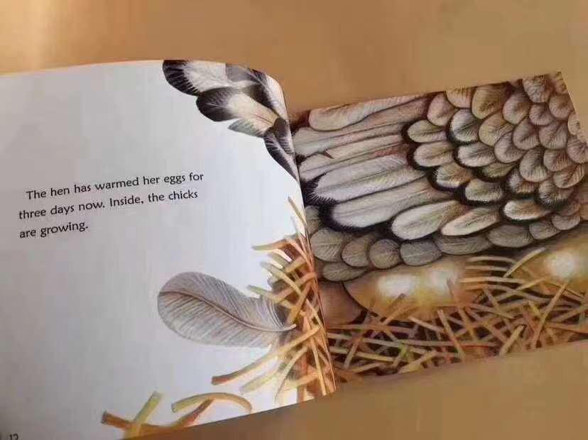 [SG STOCK]Let’s Read And Find Out Science by Harper Collins Level 1 ...